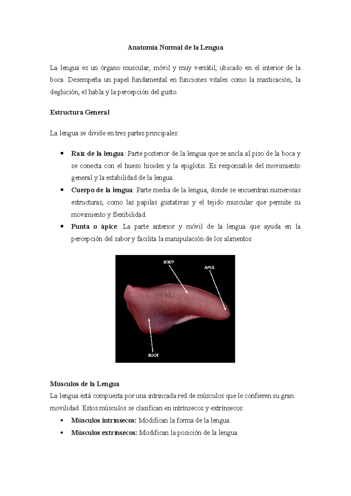 Anatomía Normal de la Lengua - Anatomía Normal de la Lengua La lengua ...