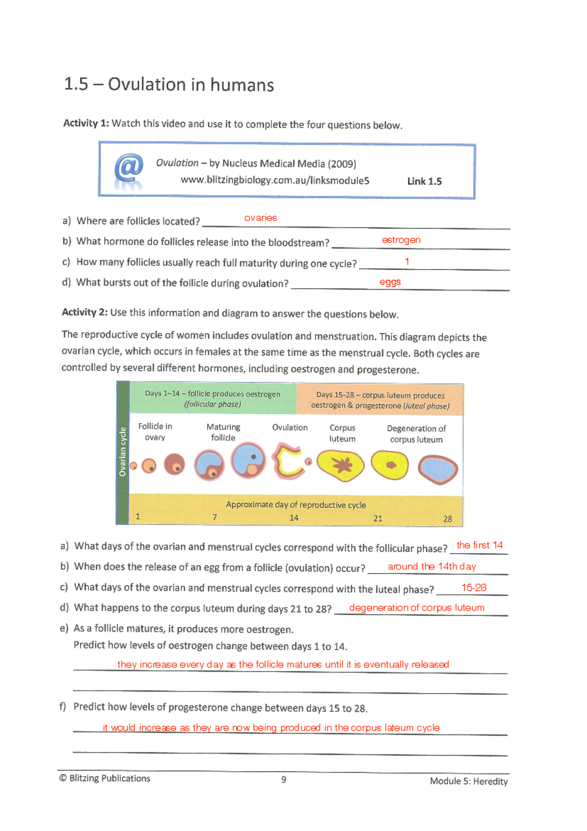 02.Ovulation, Pregnancy & Birth Worksheet copy - 1 — Ovulation in ...