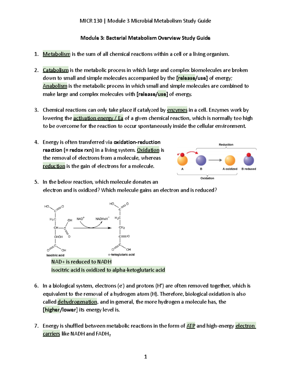 Module 3 Bacterial Metabolism Overview Study Guide - MICR 130 | Module ...