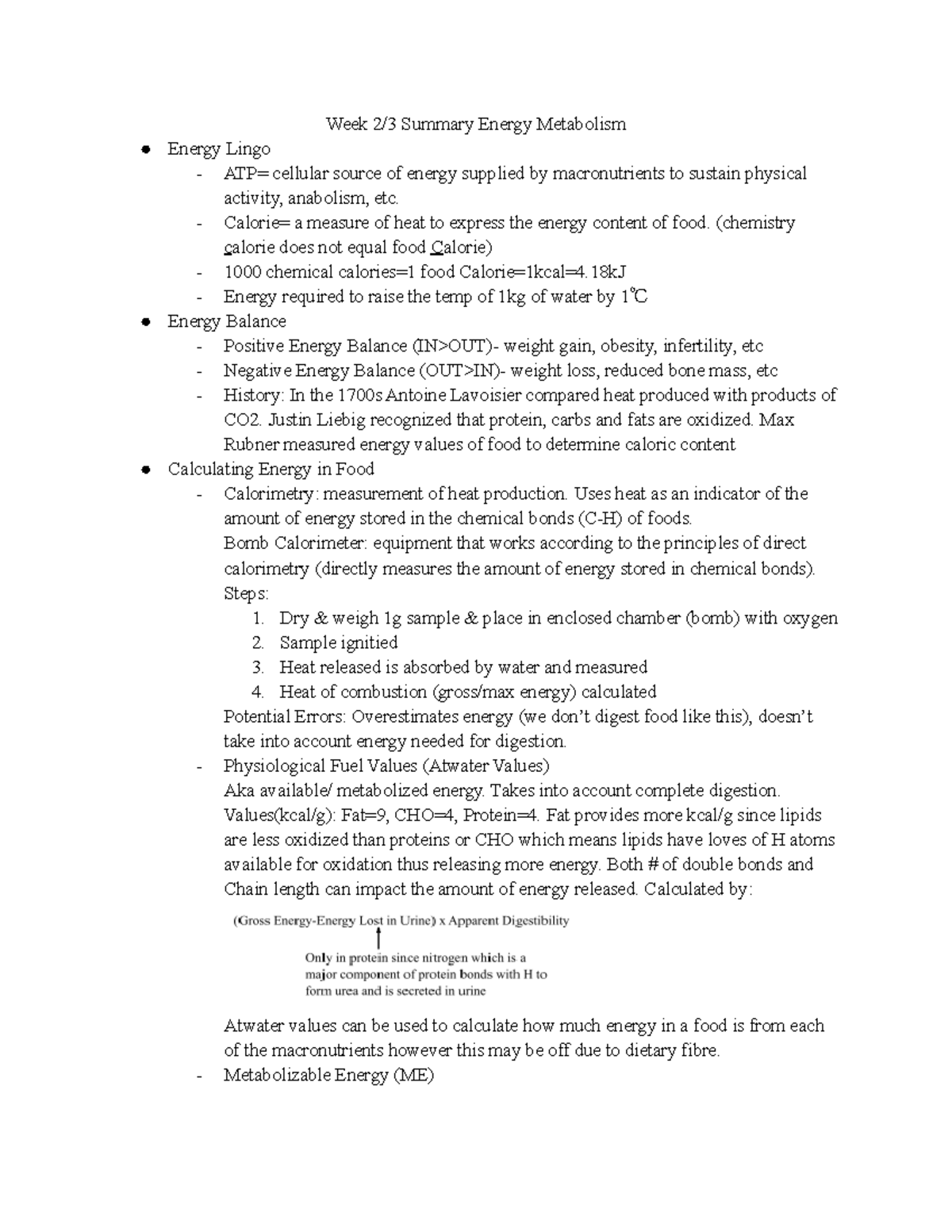NUTR Week 2 3 Summary Energy Metabolism - Week 2/3 Summary Energy ...