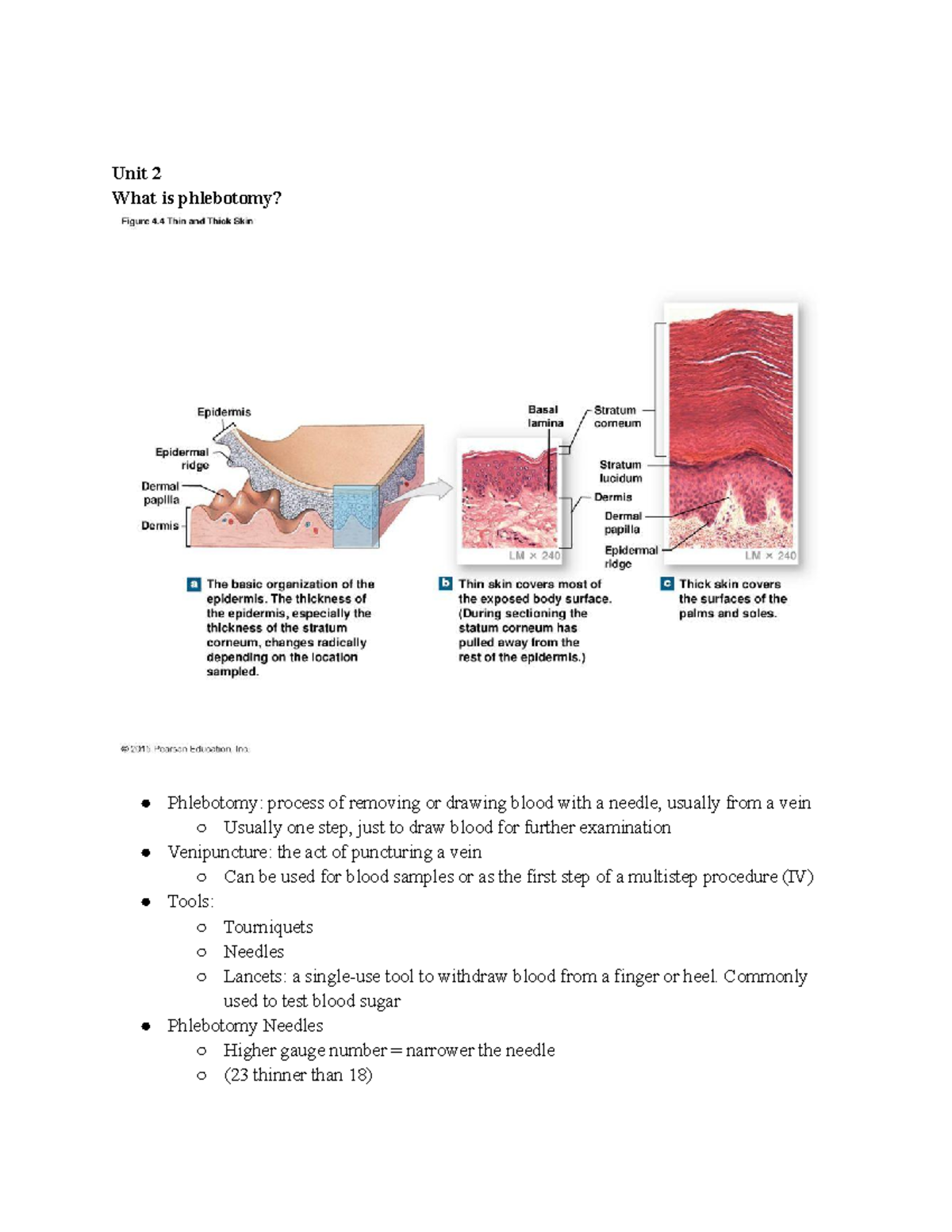 Module 1 Lab Notes from Lecture - Unit 2 What is phlebotomy? Phlebotomy ...