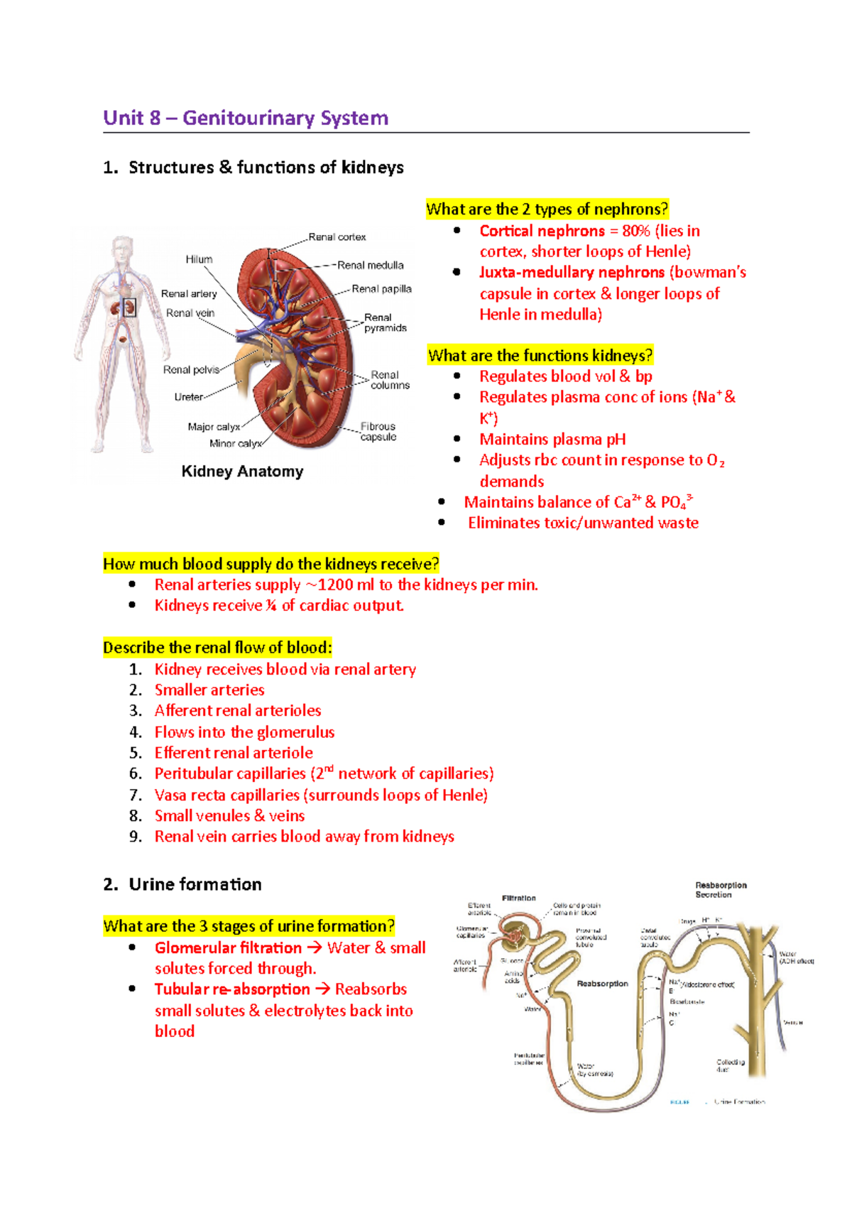 Unit 8 – Genitourinary System - Unit 8 – Genitourinary System 1 ...