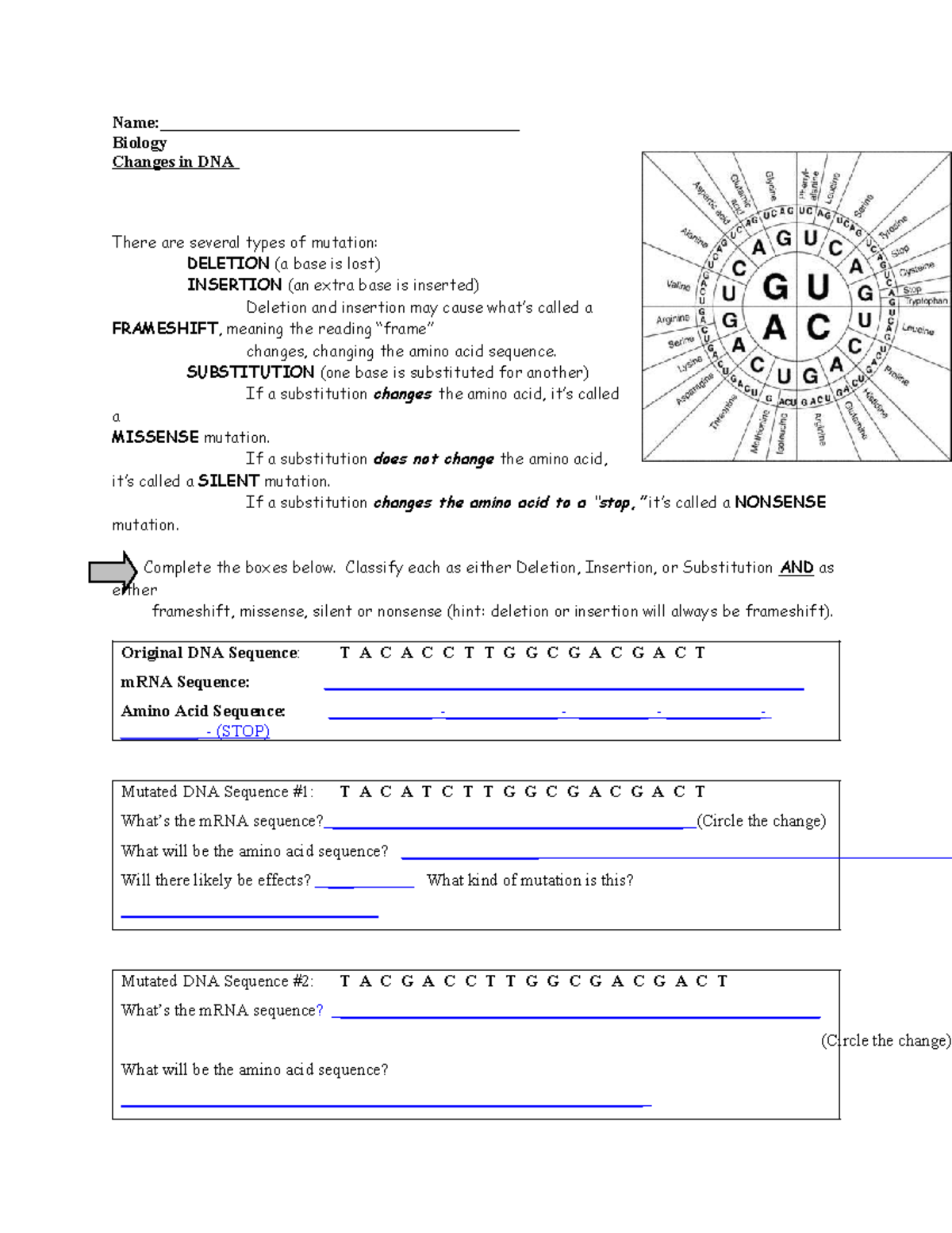 Mutations Handout - Name ...