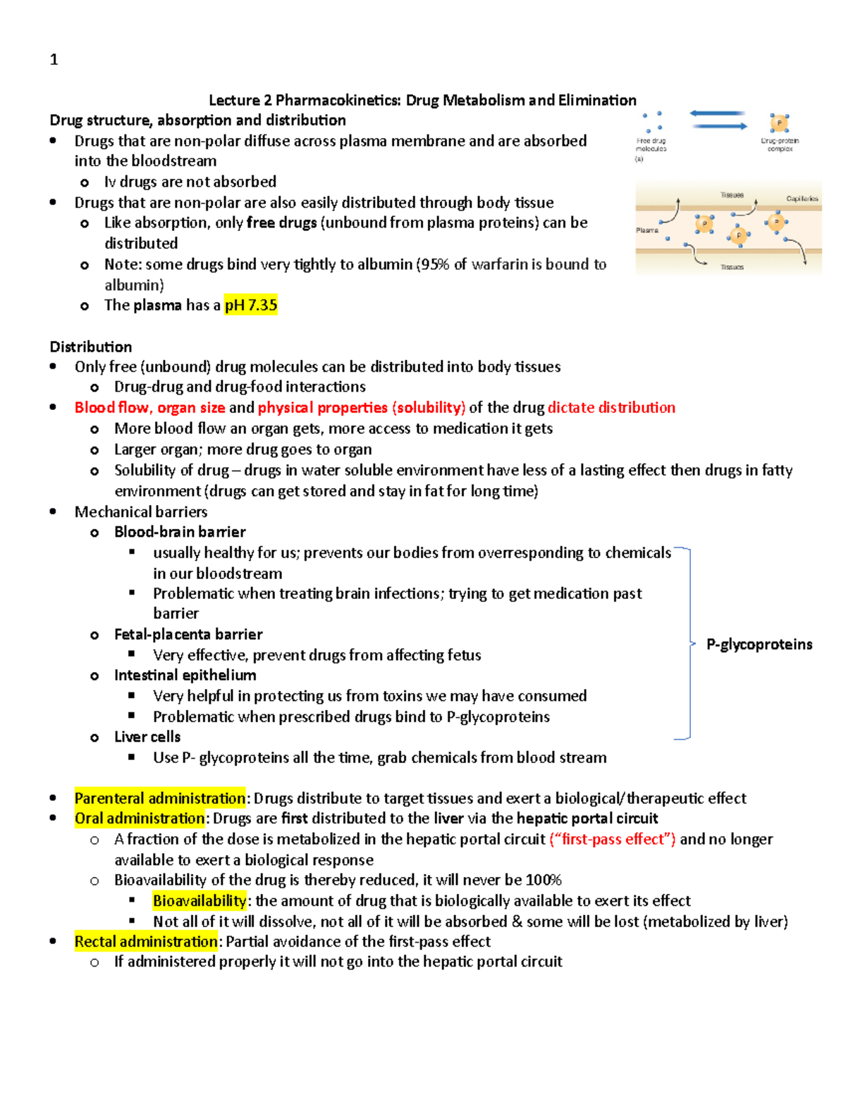 Drug Metabolism and Elimination - note - Lecture 2 Pharmacokinetics ...