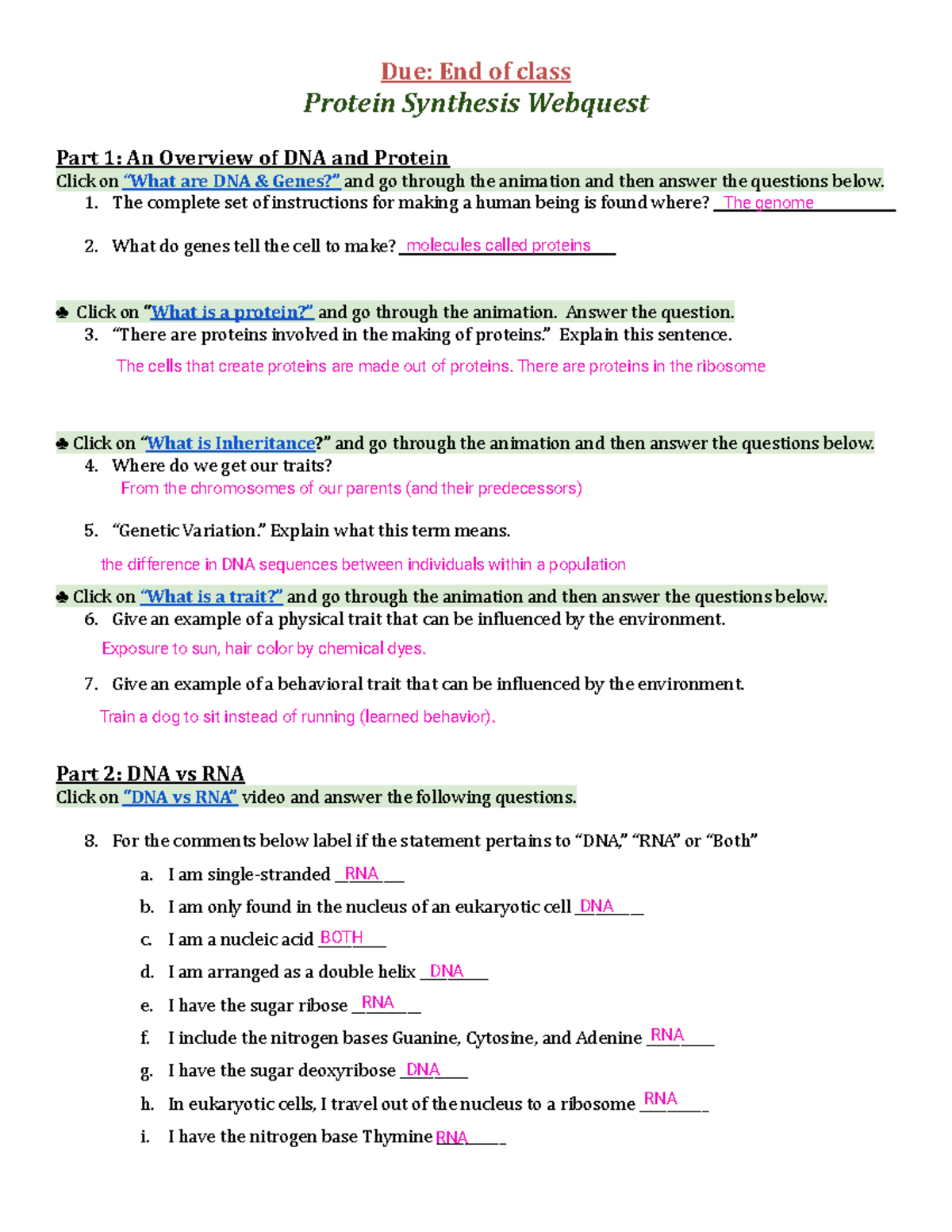 Kami Export - Drew Hazeley - PS Webquest 24 - Due: End of class Protein ...