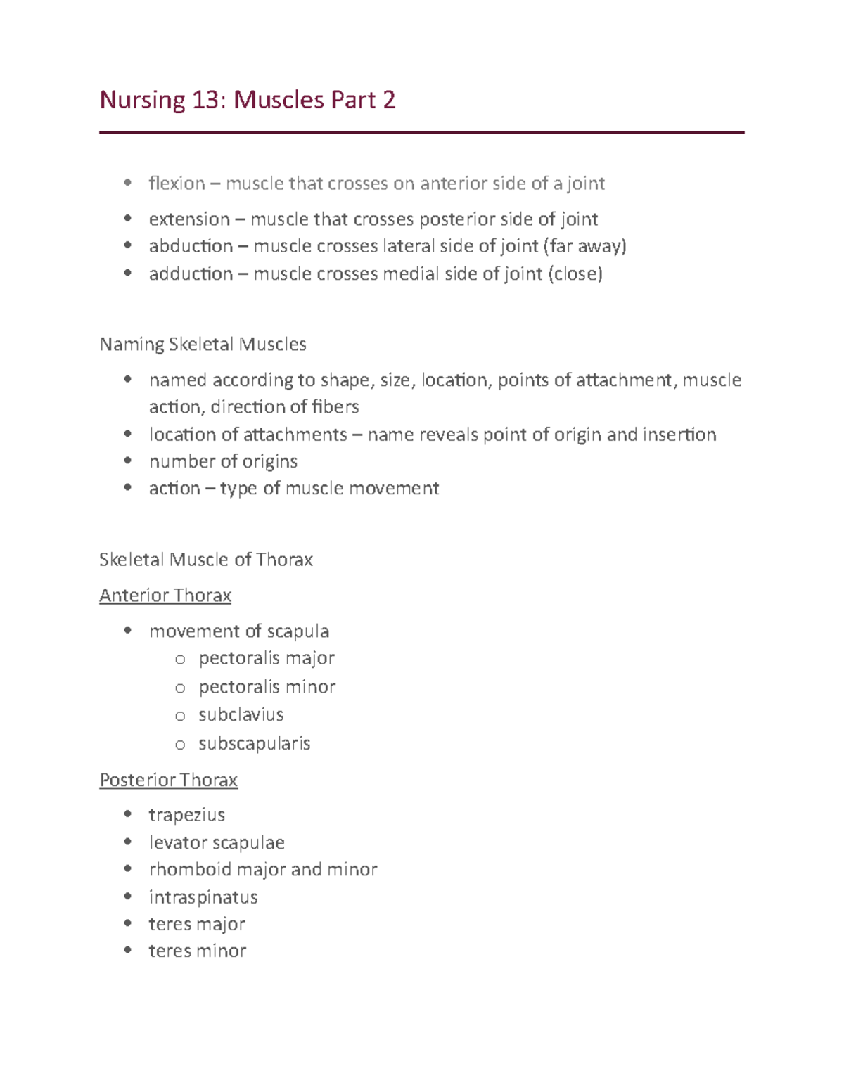 Nursing 13 Muscles Part 2 - Nursing 13: Muscles Part 2 flexion – muscle ...