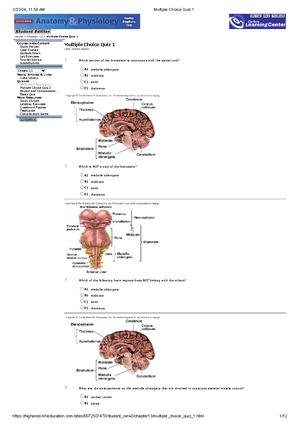 Neuroanatomy MCQ2 - very good msq for revision - Multiple Choice Quiz 2 ...