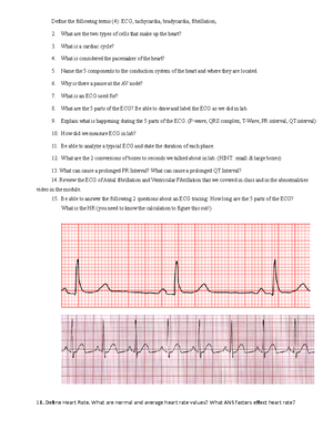 Chapter 14 Cardiovascular The Heart - Chapter 14 Physiology ...