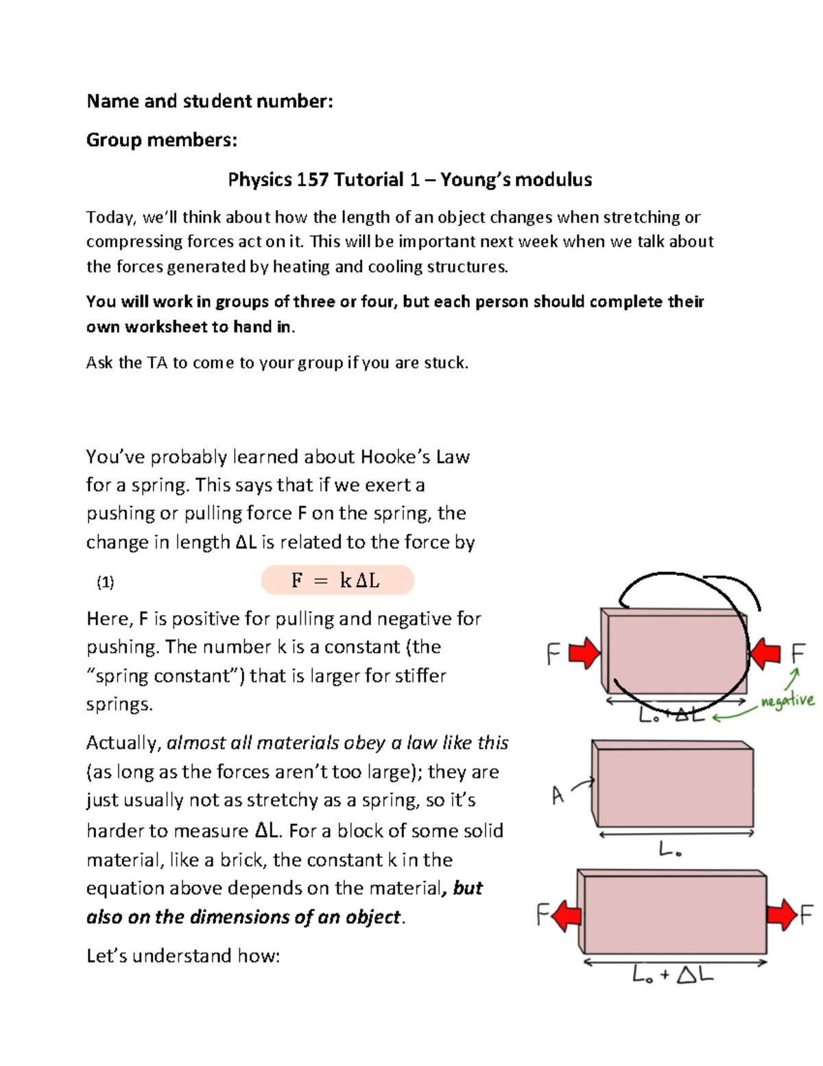 YOUNG'S MODULUS NOTES - Name and student number: Group members: Physics ...