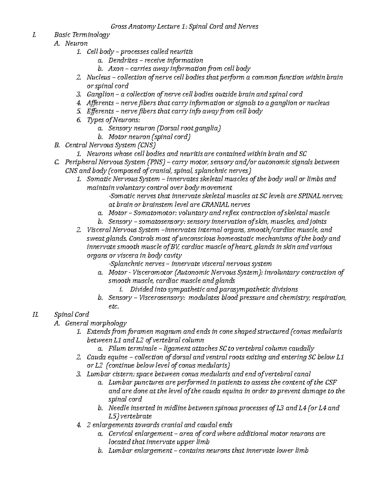 Spinal Cord Anatomy notes - Gross Anatomy Lecture 1: Spinal Cord and ...