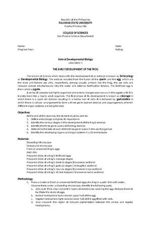 Lesson 2-6 - activoties - G12-TRENDS NAME ...