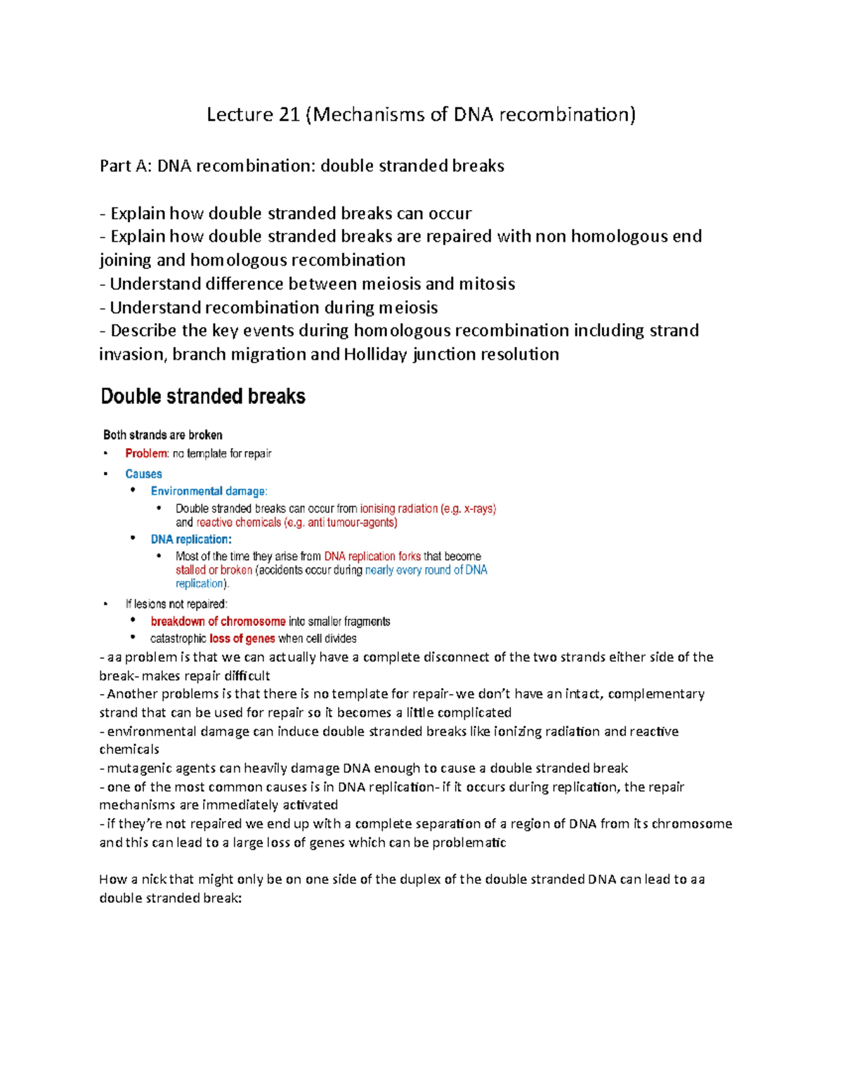 Week 11 - lecture slides and notes - Lecture 21 (Mechanisms of DNA ...