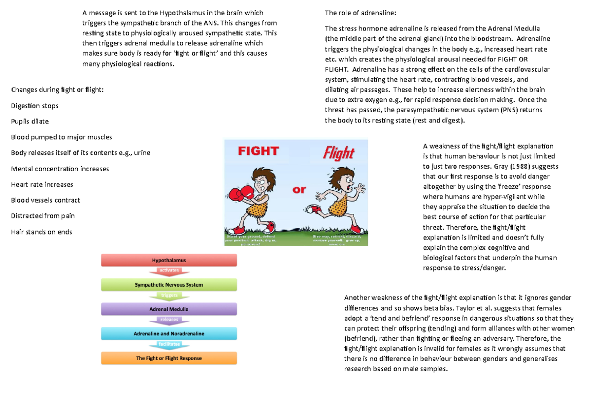 Fight or flight mindmap - A message is sent to the Hypothalamus in the ...