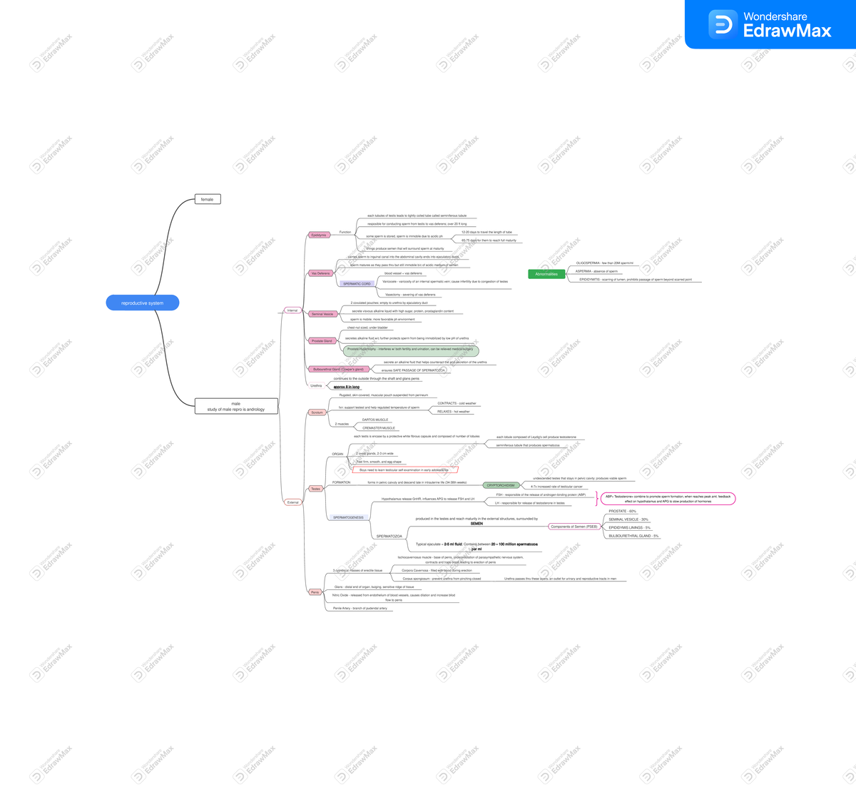 MCN- Malereprudctive- Chapter 5 - reproductive system female male study of male repro is ...