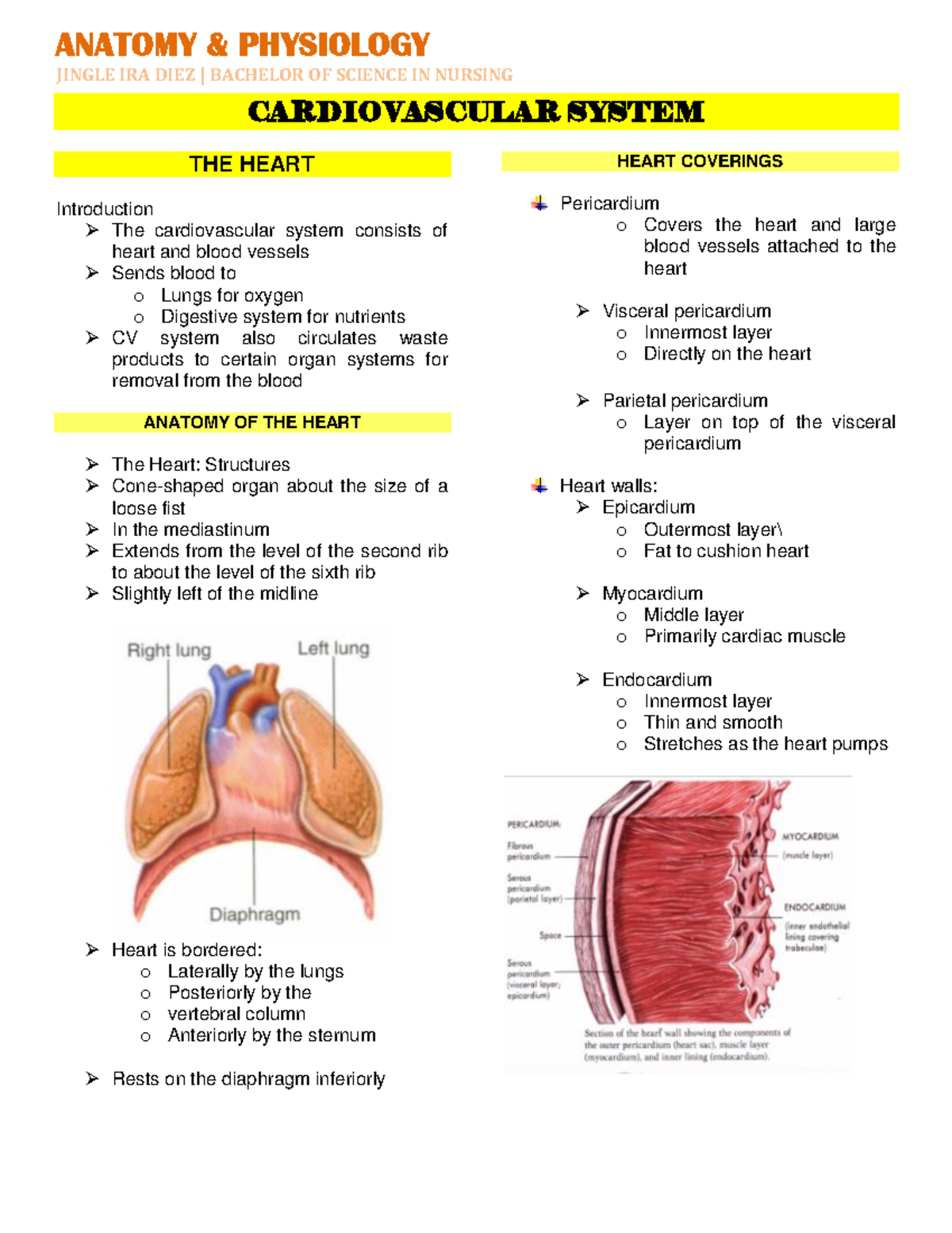 Anaphysio- Cardiovascular - ANATOMY & PHYSIOLOGY JINGLE IRA DIEZ ...