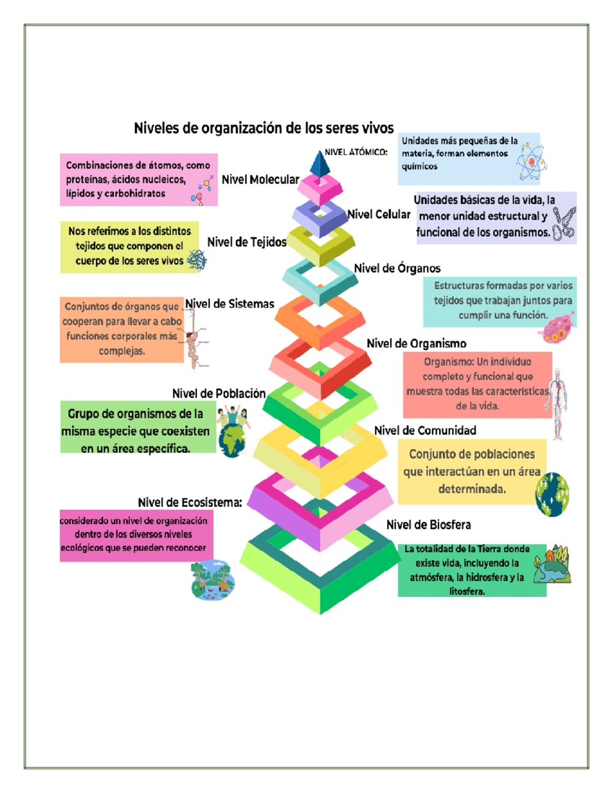 Unidad 1. Actividad 1. Organización de los seres vivos - Bases ...
