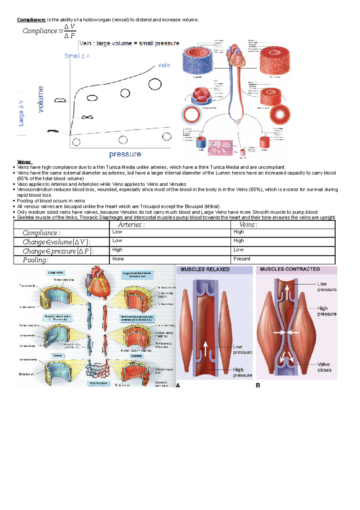 HUBS 192 - Lecture 10 (CVS Venous Blood Flow and the Heart ...