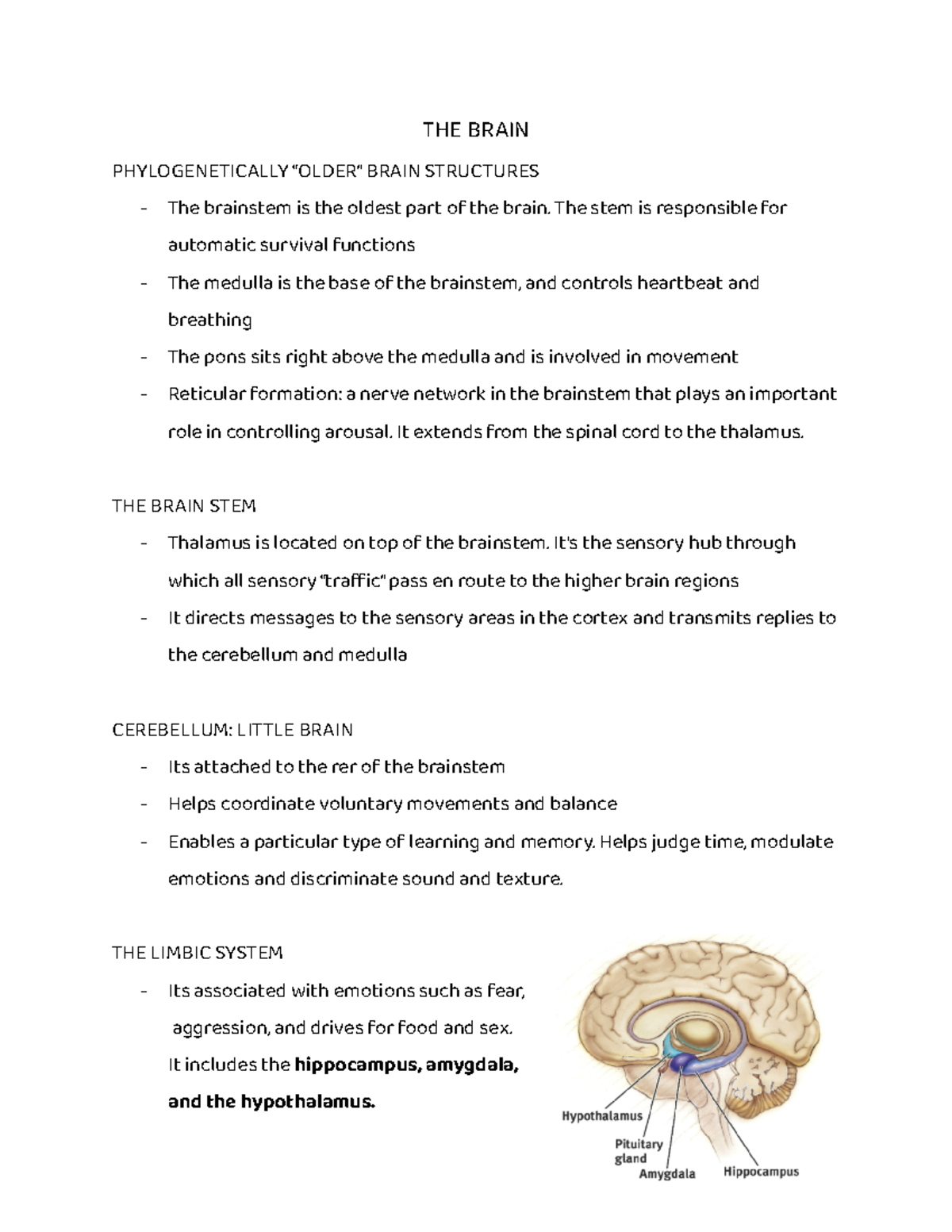 THE Brain ppt -4 - introduction to psychology with professor Choudhury ...