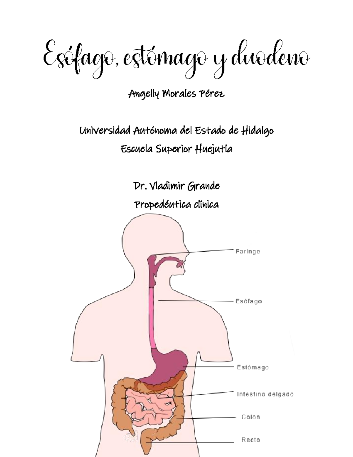 Esófago, estomago y duodeno - Warning: TT: undefined function: 32 ...