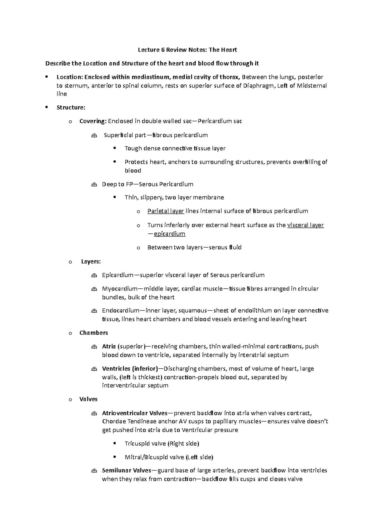 The Heart: Vascular System - Lecture 6 Review Notes: The Heart Describe ...