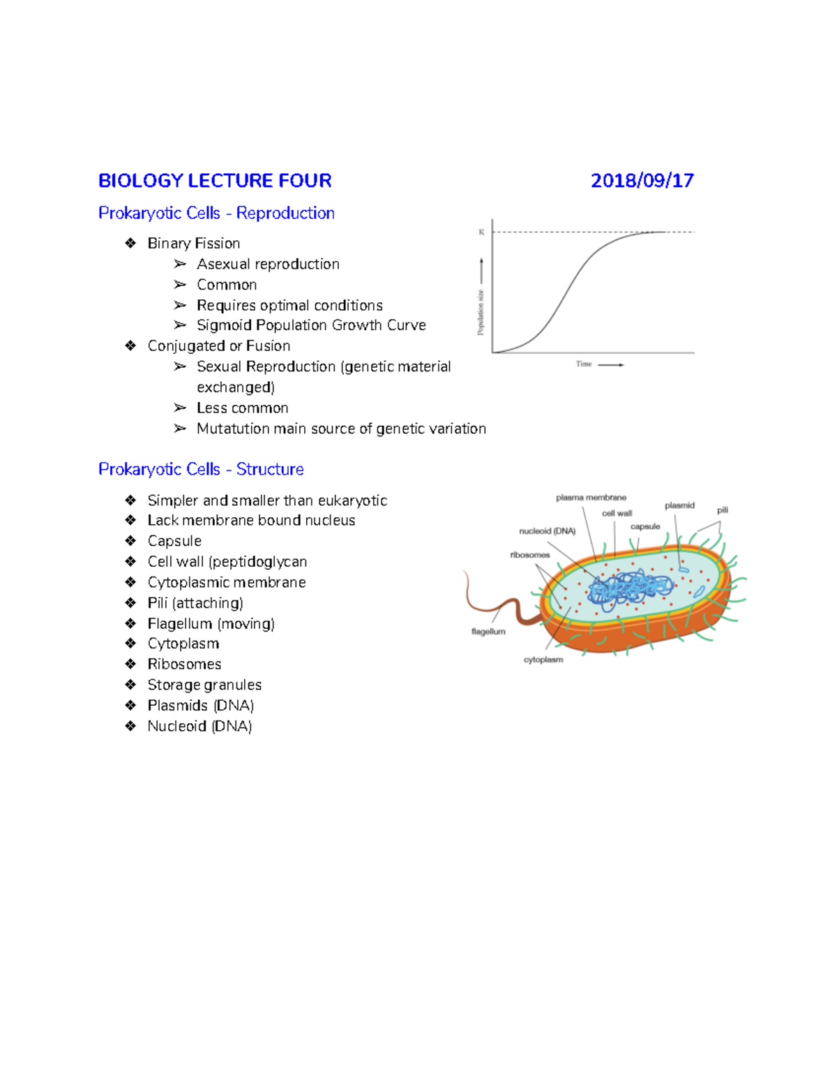 Biology lecture notes - BIOLOGY LECTURE FOUR 2018/09/ Prokaryotic Cells ...