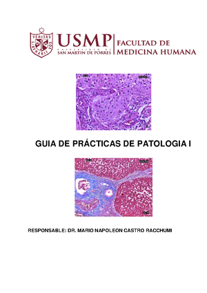 Examen de rodilla - SIGNOS CLÍNICOS - Examen de rodilla: rodilla normo ...
