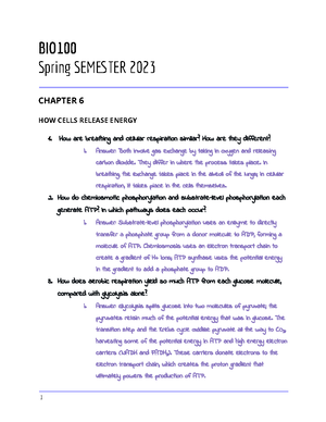 Ch. 7: DNA Structure and Gene Function - BIO Spring SEMTER 2023 CHAPTER ...