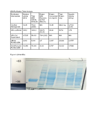 LDH Purification - Lab Report - LDH Purification Name: David Ruiz ...