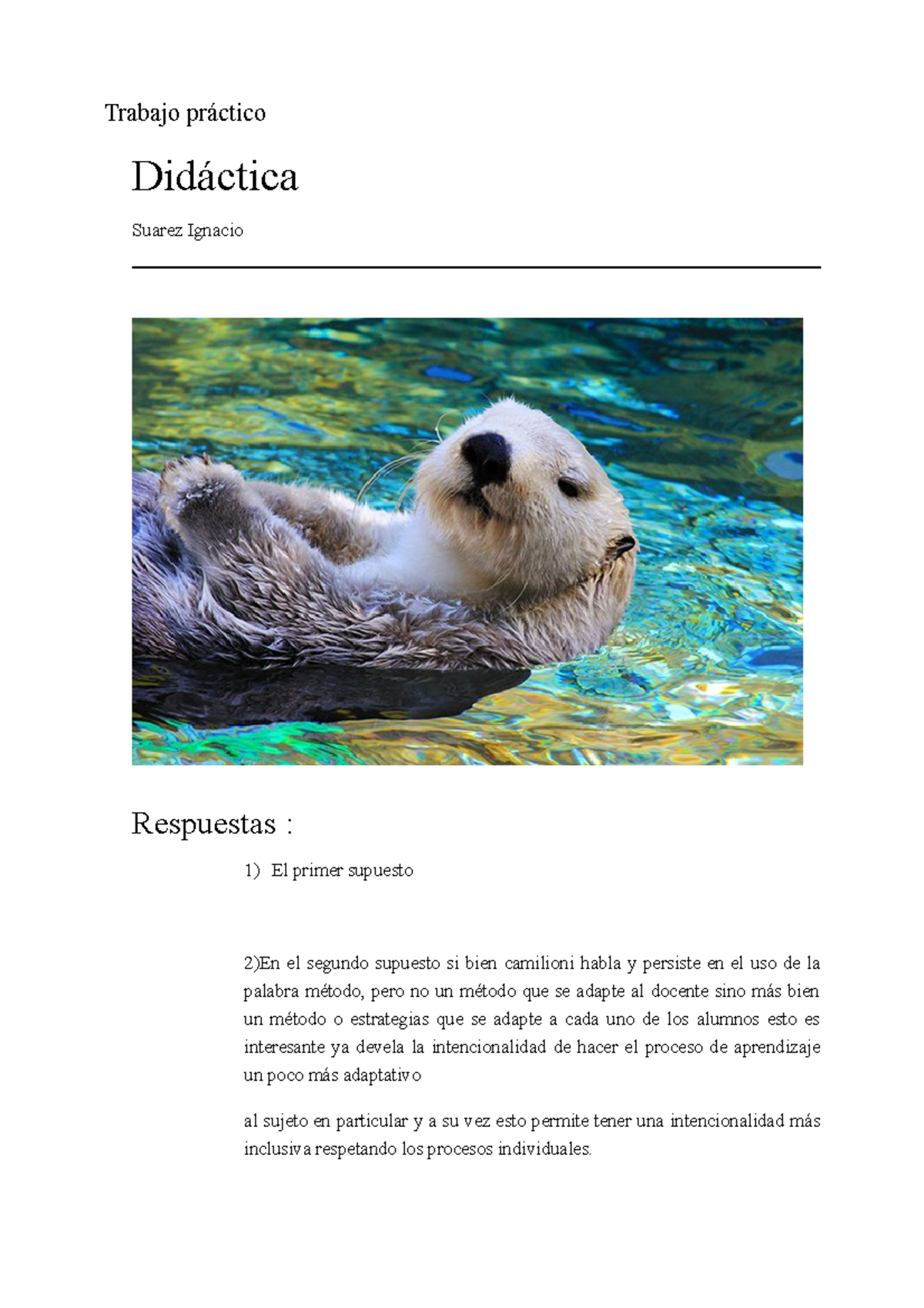 Documento (1) ( - Ghgy - Trabajo práctico Didáctica Suarez Ignacio ...