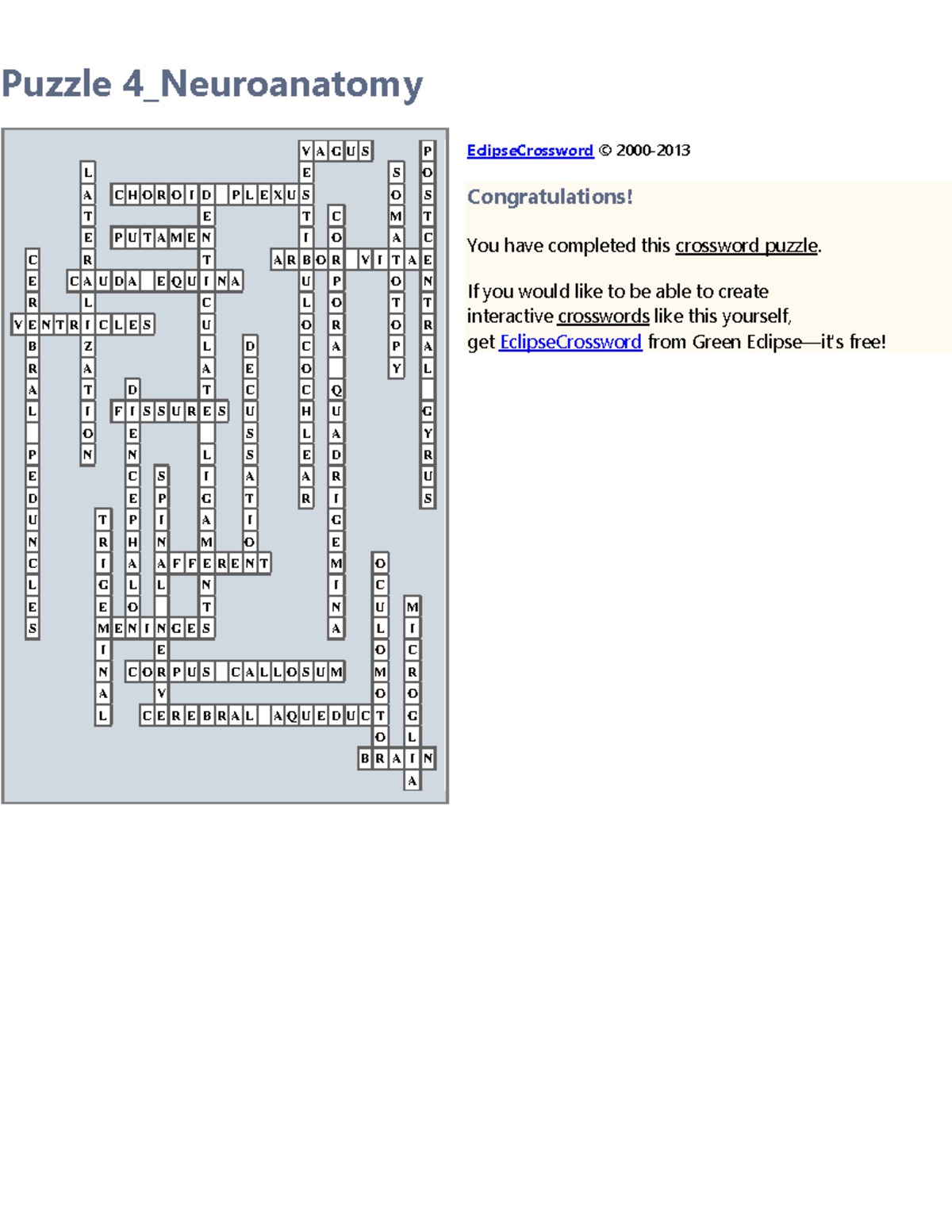 ANp Crossword 4 - Puzzle 4_Neuroanatomy V A G U S P L E S O A C H O R O ...