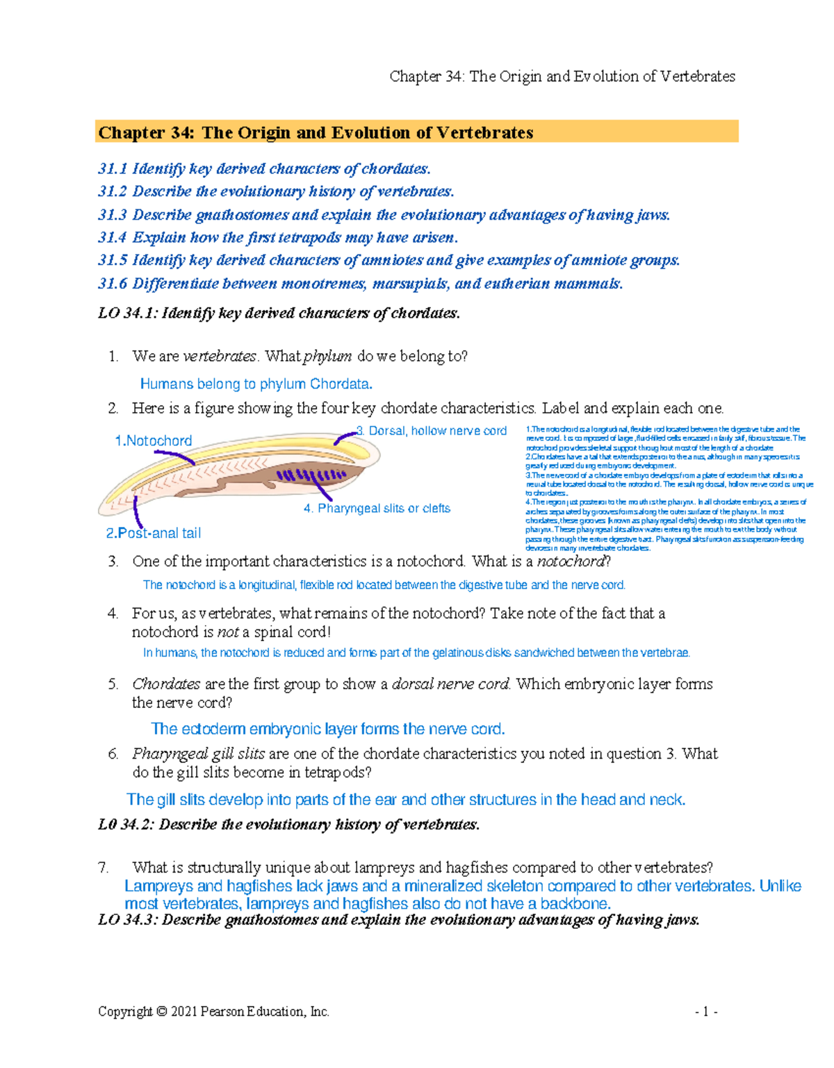 Chapter 34 RGA done - Copyright © 2021 Pearson Education, Inc. - 1 ...