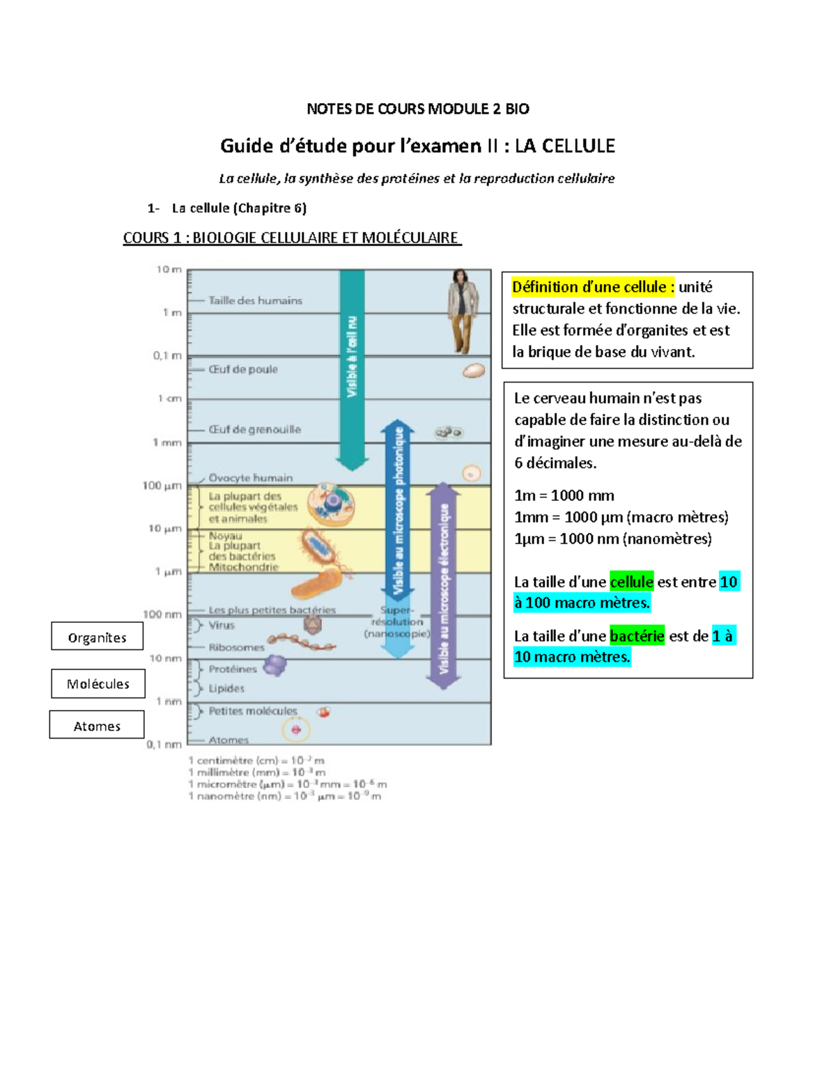 Notes DE Cours Module 2 BIO - NOTES DE COURS MODULE 2 BIO Guide d’étude ...