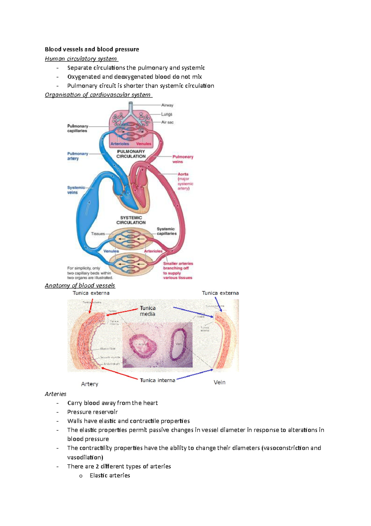 SLE221 Blood vessels and blood pressure - Blood vessels and blood ...
