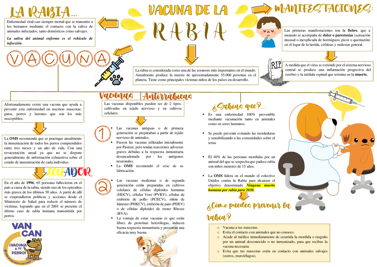 Vacuna de la Rabia, historia, importancia, diagnóstico - diagnostico ...