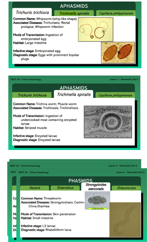 Cestodes and Trematodes diagnostic and infective stages summary table ...