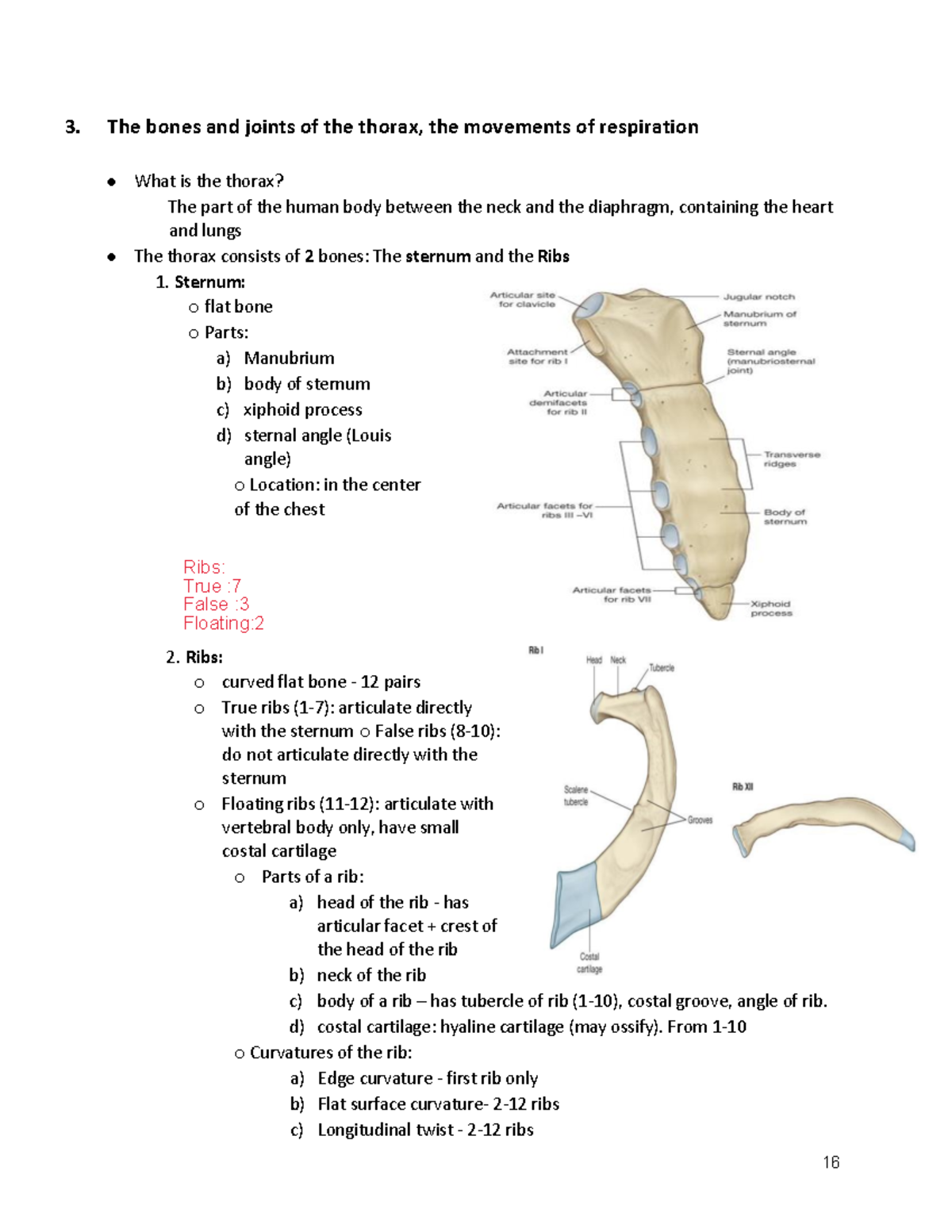 The bones and joints of the thorax (Golden notes) - 3. The bones and ...