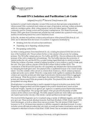 CHM 360L RS T1Biochemistry Boot Camp Lab Guide - Biochemistry Boot Camp ...