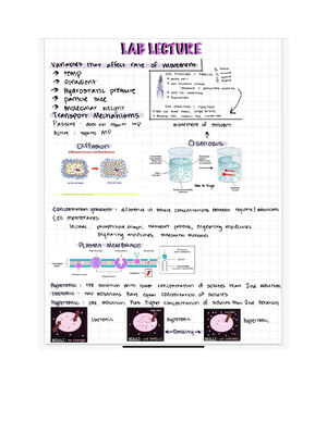 152 Lab Practical Terms - SPRING 2022 Bio 152 Lab Practical Terms The ...