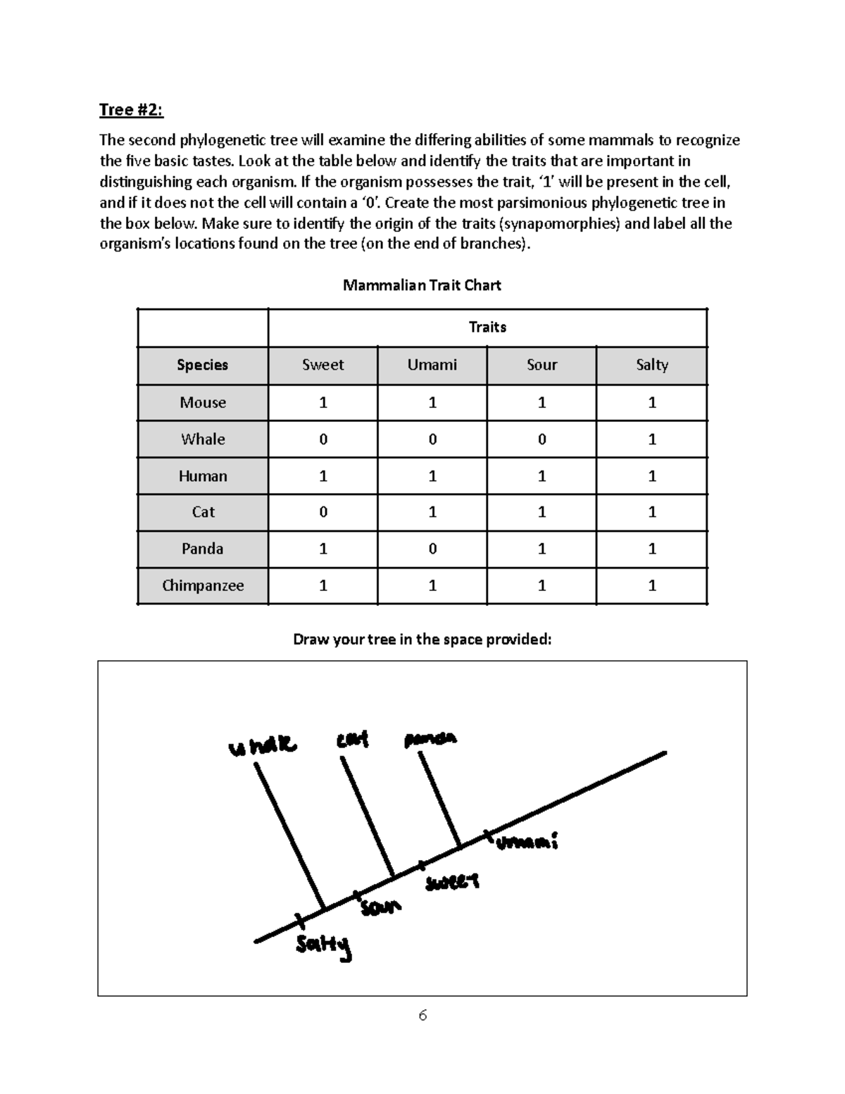 Tutorial 4 Phylogenetic Trees - Tree #2: The second phylogene)c tree ...
