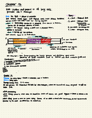 Chapter 8 - Dr Brinn - Chapter 8: Skeletal Articulations, Joints ...