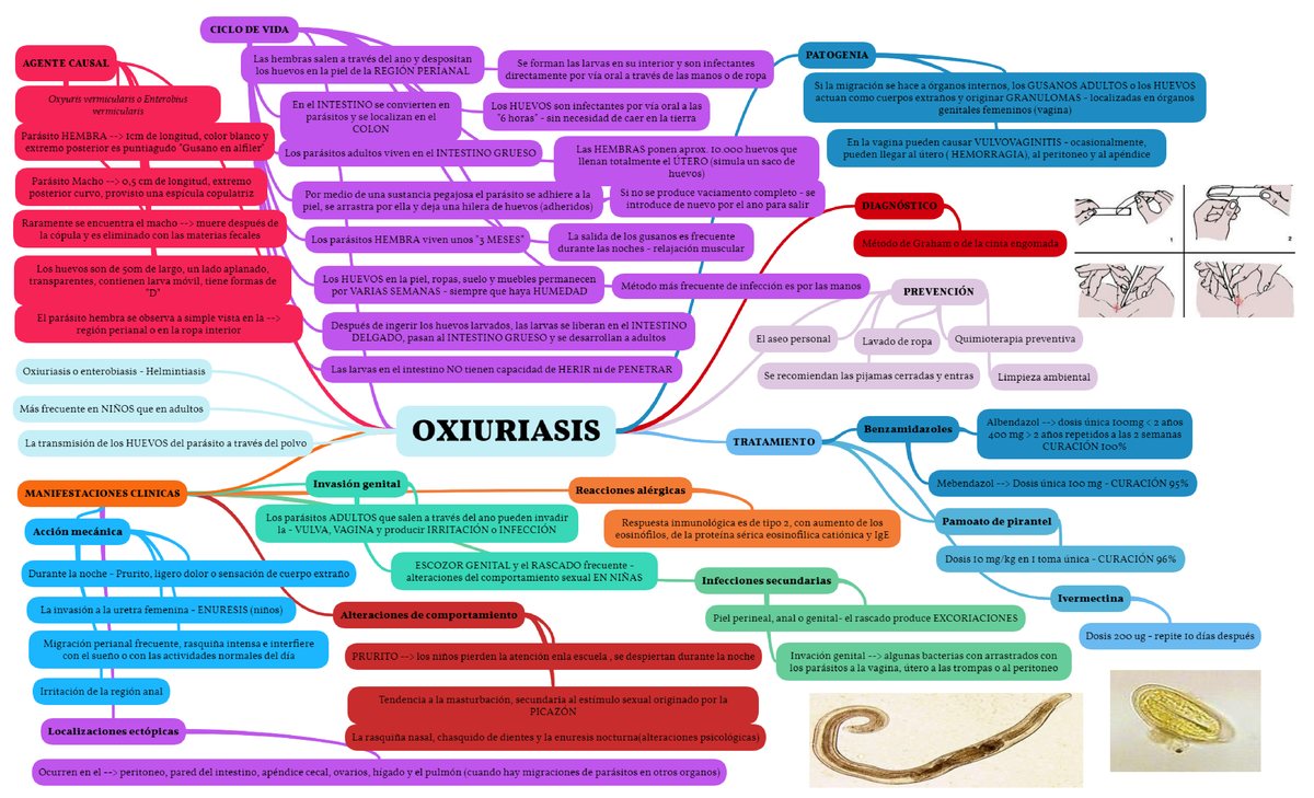 Oxiuriasis Y Tricocefalosis ASVC - Microbiología II - Micología y ...