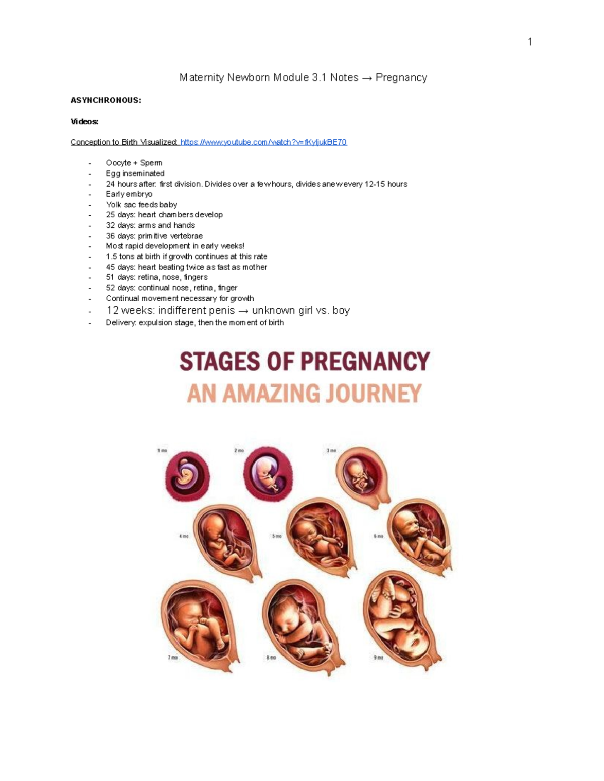 Module 3.1 - Family Newborn - Maternity Newborn Module 3 Notes → ...