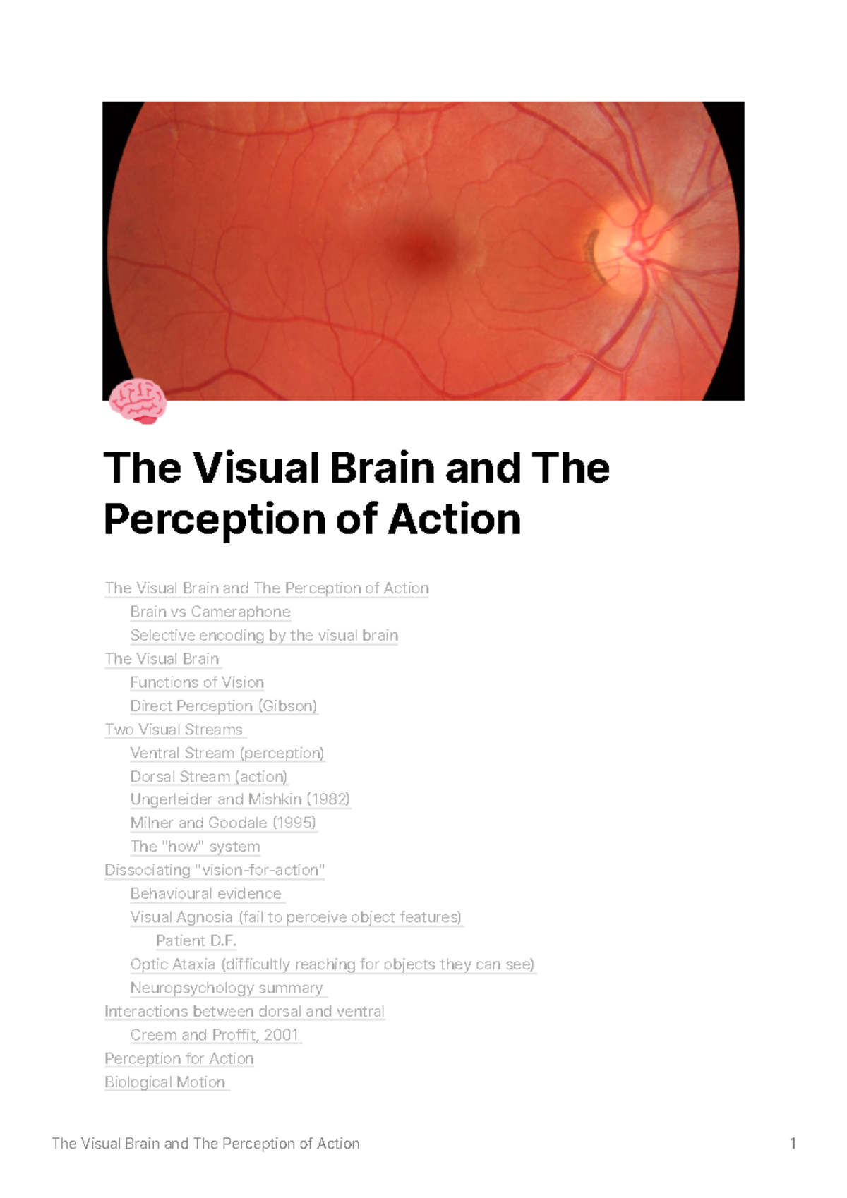 The Visual Brain and The Perception of Action - 🧠 The Visual Brain and ...