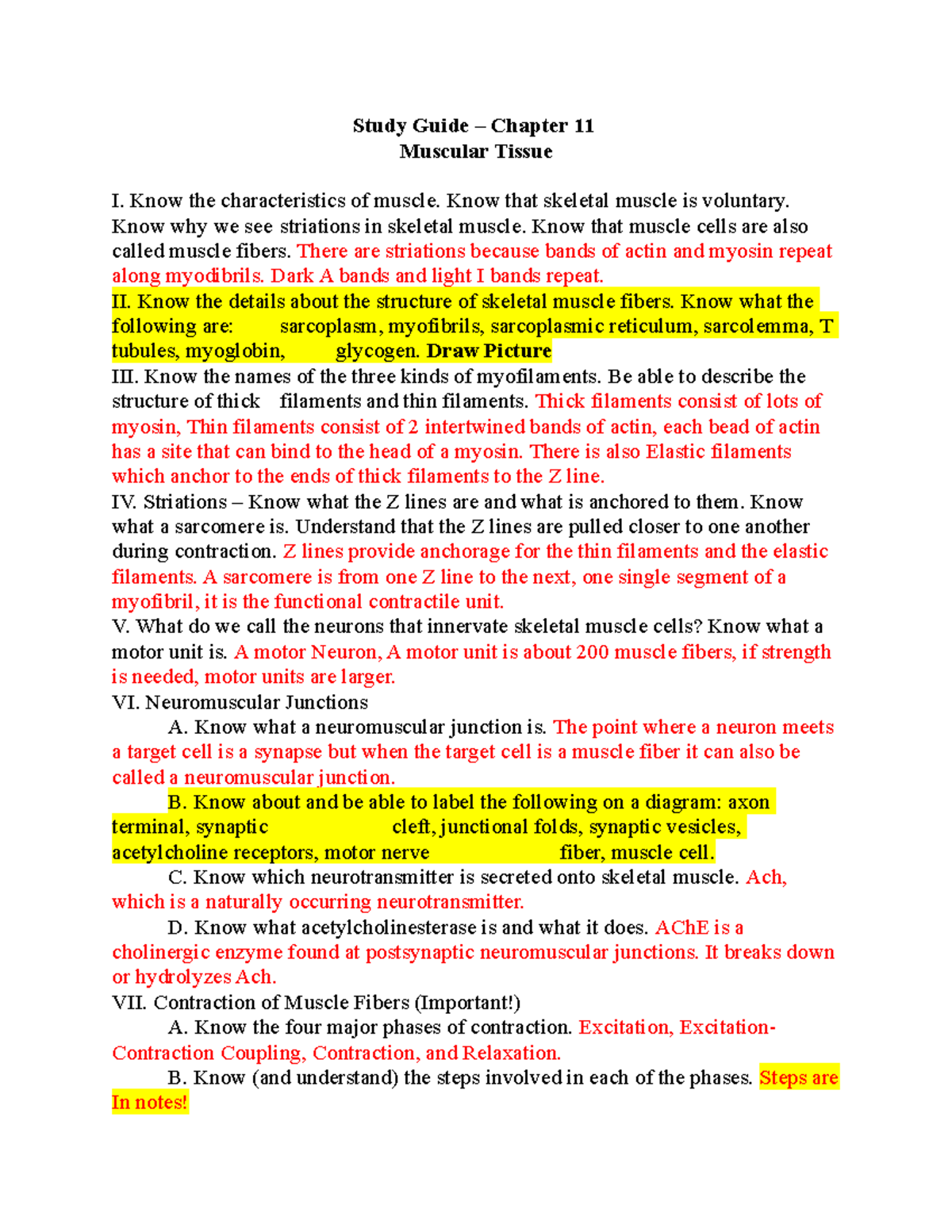 Study Guide - Chapter 11 - Study Guide – Chapter 11 Muscular Tissue I ...