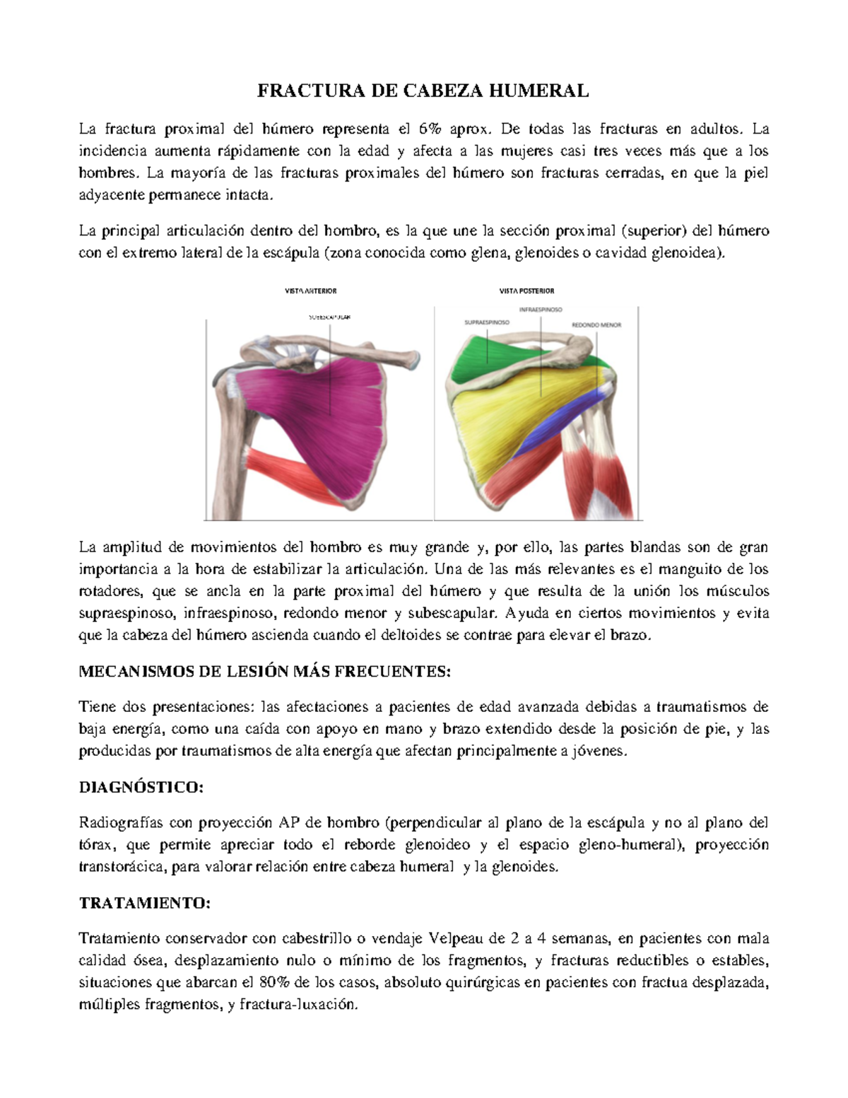 Fractura DE Cabeza Humeral - FRACTURA DE CABEZA HUMERAL La fractura ...