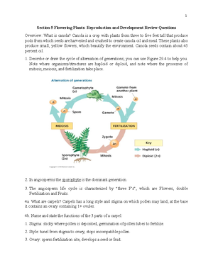 Biology Chapter 10 Test + Answer Key - Biology Chapter 10: Principles ...
