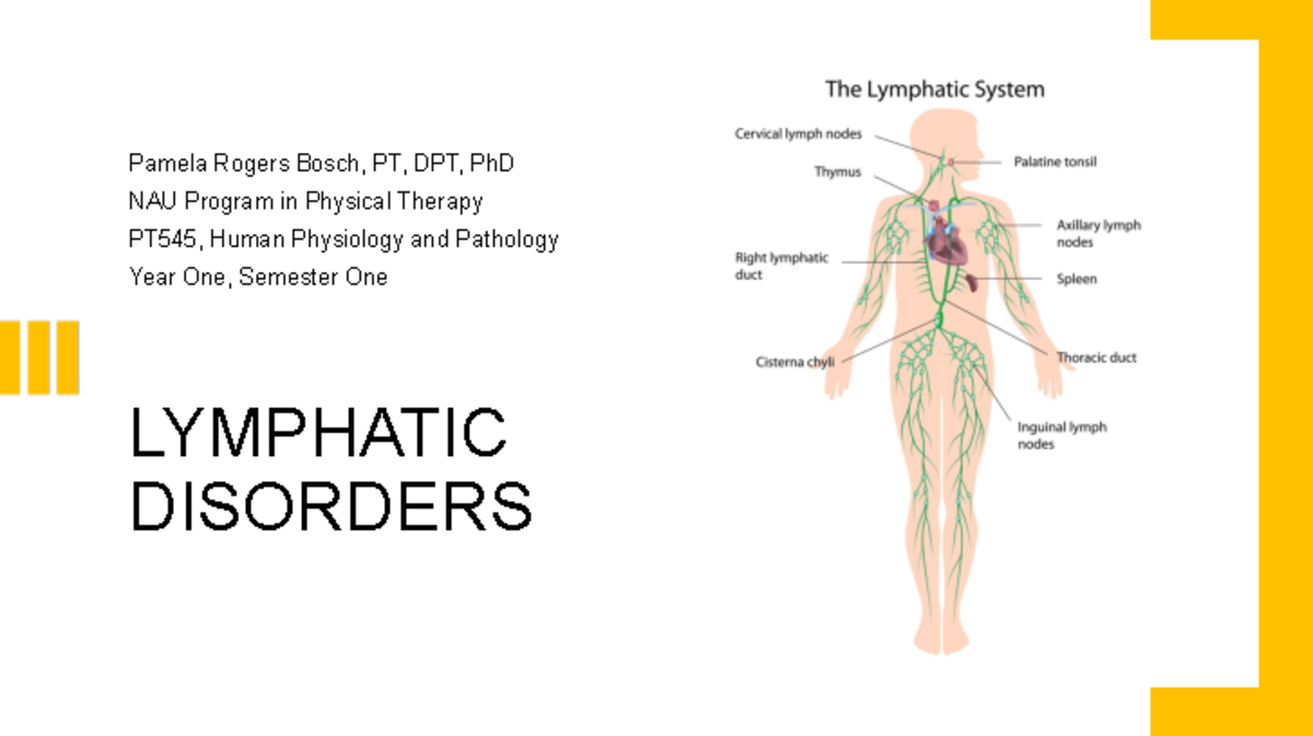 Lymphatic Disorders - Pamela Bosch - LYMPHATIC DISORDERS Pamela Rogers ...
