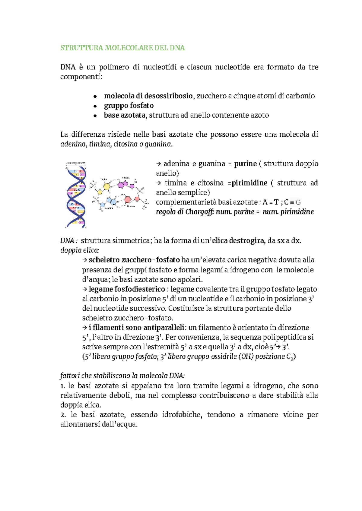 B2 Struttura E Funzione DEL DNA - STRUTTURA MOLECOLARE DEL DNA DNA è un polimero di nucleotidi e ...