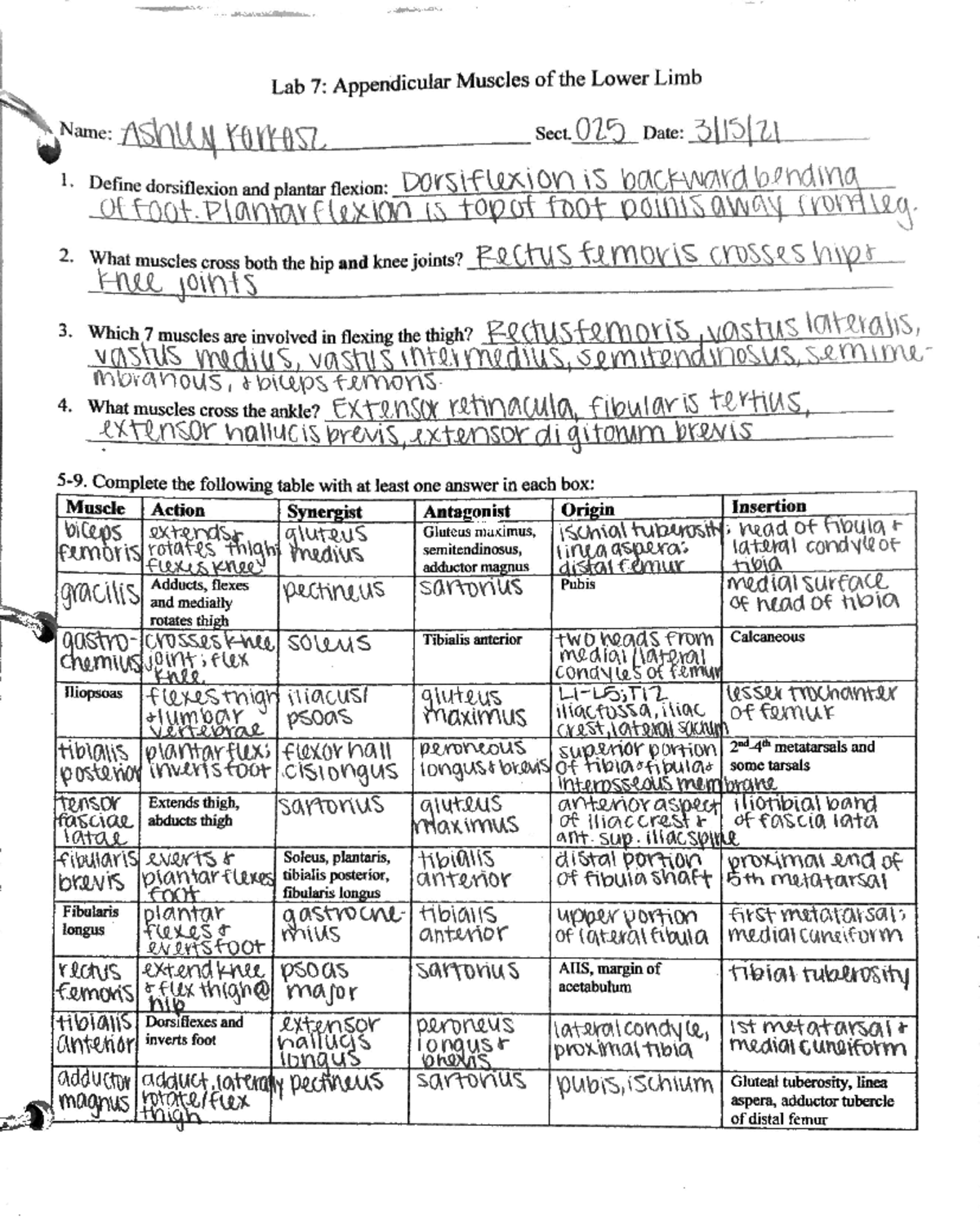 2021-03-15 22-43 - Practical lab notes/answers - BIO 201L - Studocu