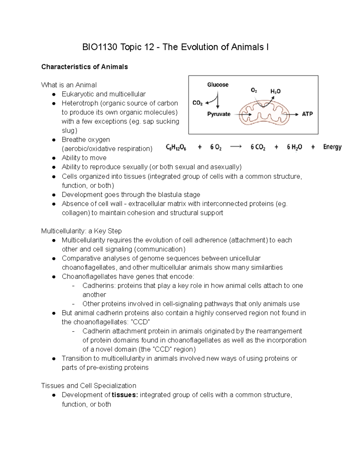 BIO1130 Topic 12 - BIO1130 Topic 12 - The Evolution of Animals I ...